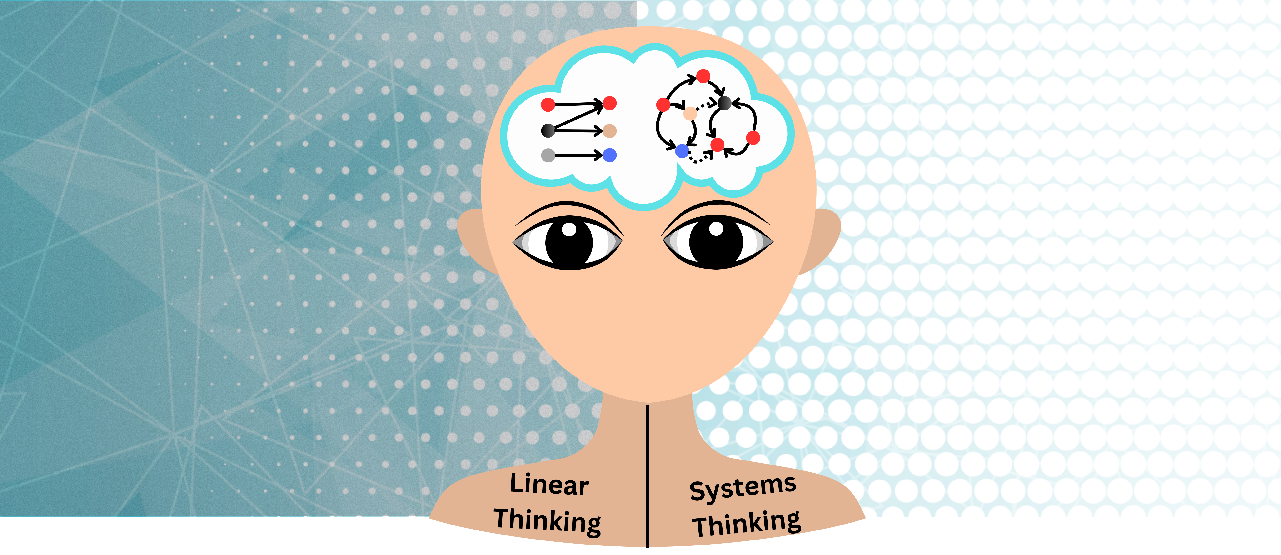Systems Thinking - Loop Systems Thinking